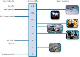 An infographic depicting sounds with corresponding decibel levels.