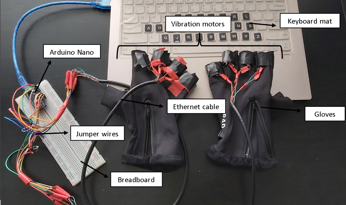 Investigating The Effect of The Sense of Touch on Developing Muscle ...