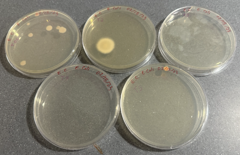 Every Drop Counts: Methods of Water Purification Against E. coli